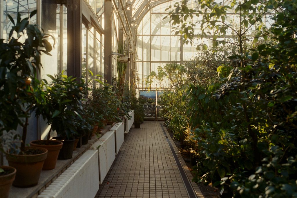 Greenhouse Nº2 - David Altrath